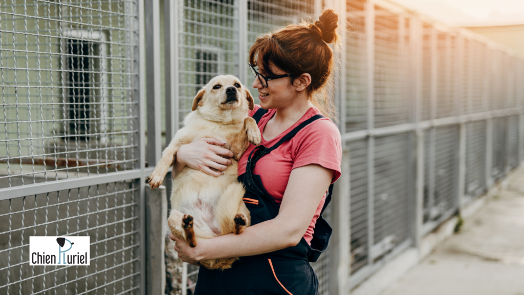Conseils pour adopter un chien en refuge - Chien Pluriel